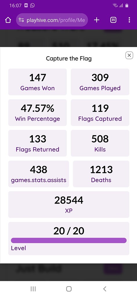 Capture The Flag Profile Bug - Closed Bug Reports - The Hive Forums
