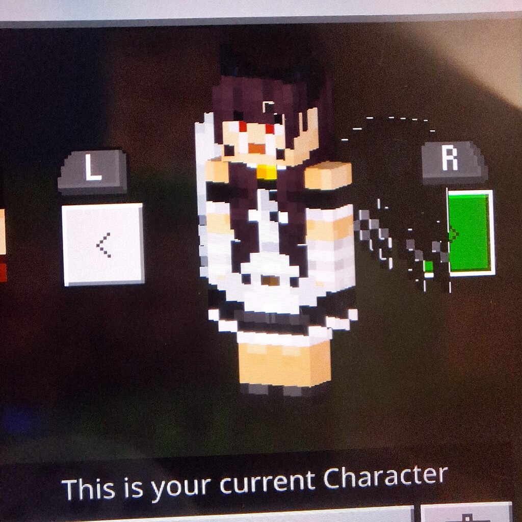 My skin hasn't been showing up whenver i join - Closed Bug Reports ...