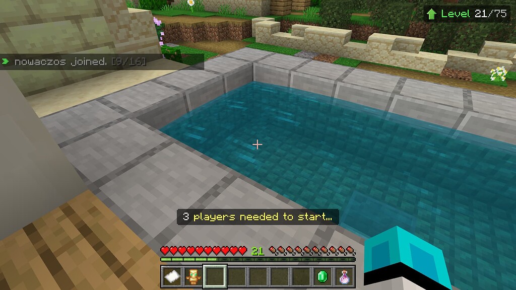 Incomplete Water Filling in Lobby Pool (Hide and Seek) - Closed Bug Reports - The Hive Forums