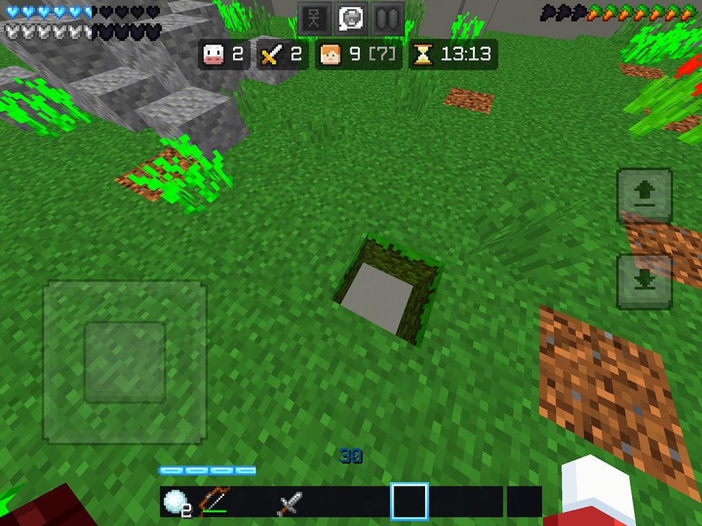 Missing Block on Survival Games (Blossom) - Closed Bug Reports - The Hive Forums